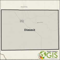 Dimmit County, TX | GIS Shapefile & Property Data
