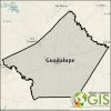 Guadalupe County, TX | GIS Shapefile & Property Data
